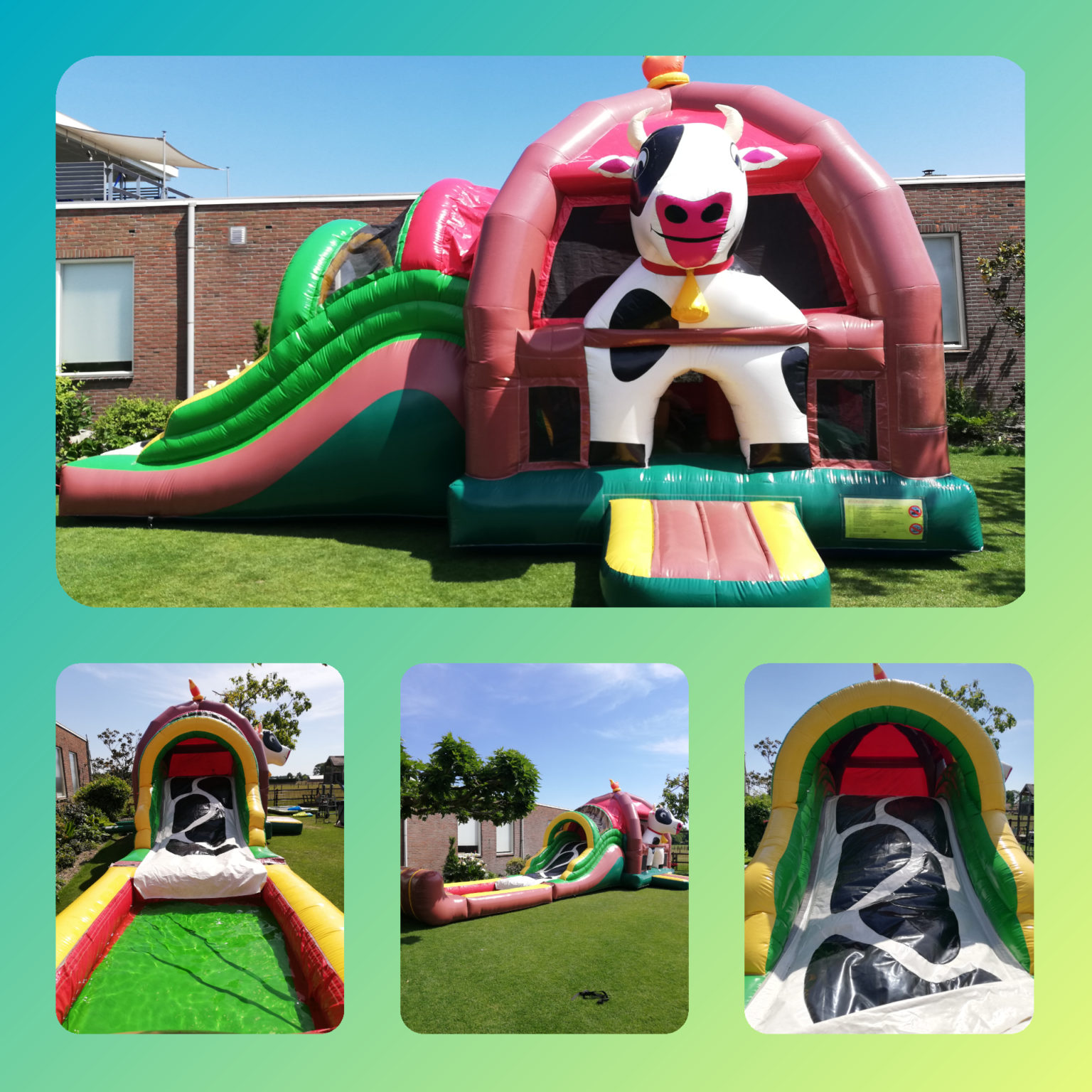 Springkussen Koe XXL met of zonder zwembad - LUMA Springkussen Verhuur